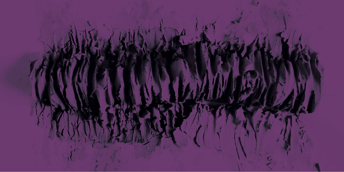 Prints – Lio Slama